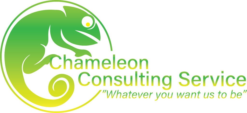 Chameleon Consulting Service